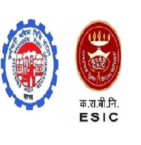 ESIC EPF Professional Tax Consultant At Month In Pune ID