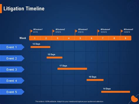 Litigation Timeline Milestone Ppt Powerpoint Presentation Gallery Professional Presentation