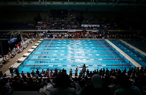 Di Womens Swimming And Diving Championship Qualifiers Announced