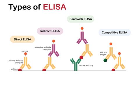 surmodics guide to detecting proteins elisa