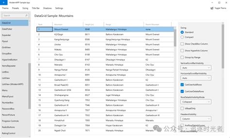 2025年值得推荐的 8 款 Wpf Ui 控件库