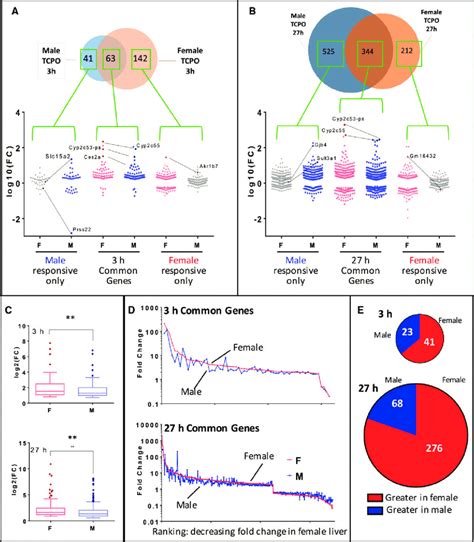 Sex Differences In TCPOBOP Gene Responses Identified By Nuclear Download Scientific Diagram