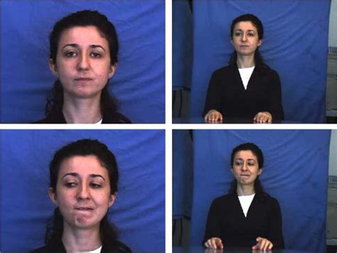 Figure 3 From Automatic Temporal Segment Detection And Affect Recognition From Face And Body