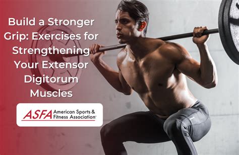 Exercises For Your Extensor Digitorum Muscles Exercises For Your Extensor Digitorum Muscles