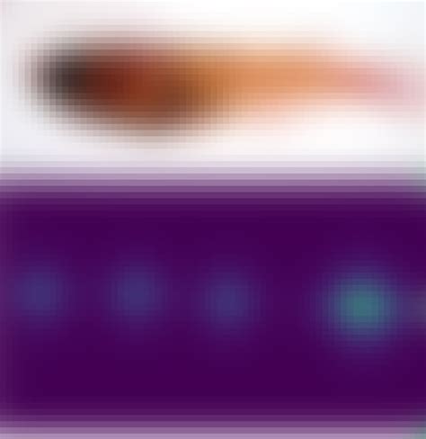 Cytomine Research Uliège