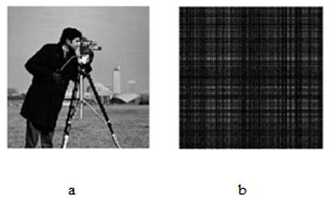 table 1 from a new method of image encryption with multiple parameter discrete fractional