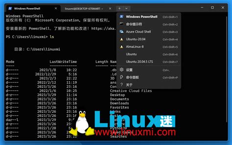 何时应该考虑使用 wsl 而不是标准 linux 发行版？ windows 运行 服务器