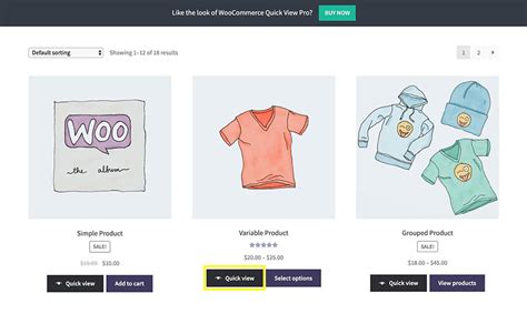 How To Add Quick View To Woocommerce Products Dreamhost