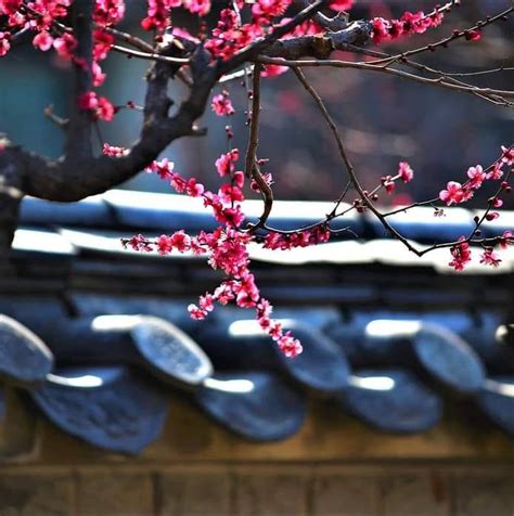 석주 여수시 평생교육과와 함께 웅천지구 과밀학급 해소를 위한 학교부지 이설 문제와 초등학생 등하굣길 안심폰 지원사업에 대해 논의했습니다 지난 업무보고에서 제가 지적했던