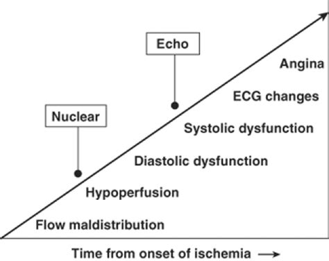 Stress Testing For Ischemia And Viability Thoracic Key