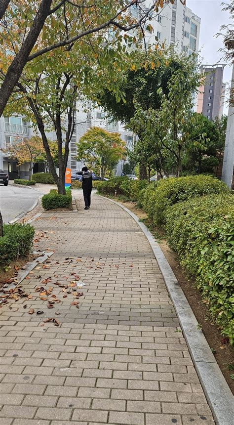 우리 동네 귀인 나의 경비원 아저씨 [배우 차유진 에세이]