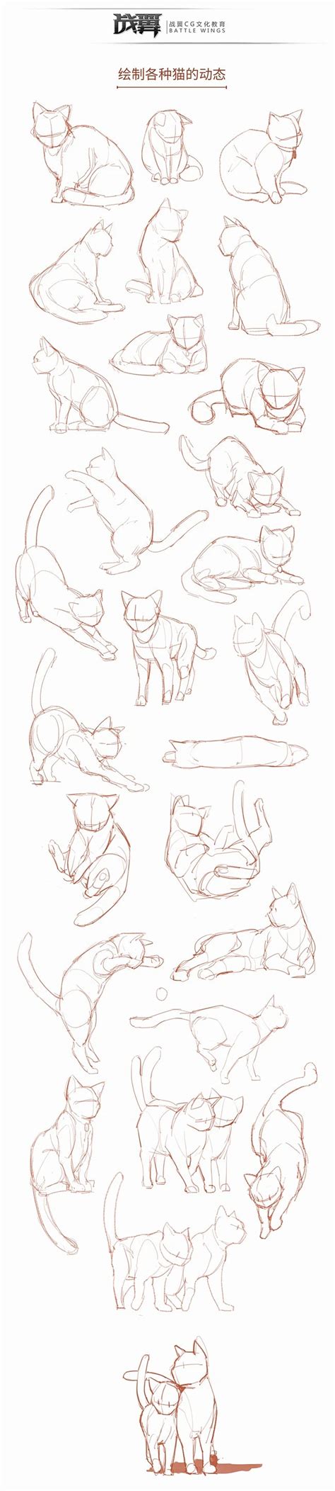 激萌猫咪怎么画？小天老师来教你！干货满满等 半次元 Acg爱好者社区 花瓣网