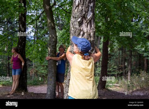 Symbol Image Group Doing Forest Bathing Shinrin Yoku Stock Photo Alamy