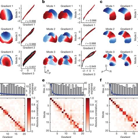 Geometry Shapes Non Neocortical Function A C First Three Geometric Download Scientific Diagram