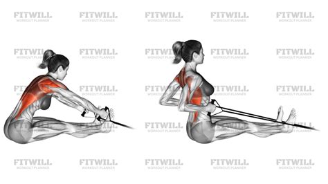 Band Seated Row Exercise Guide Video Techniques Benefits How To