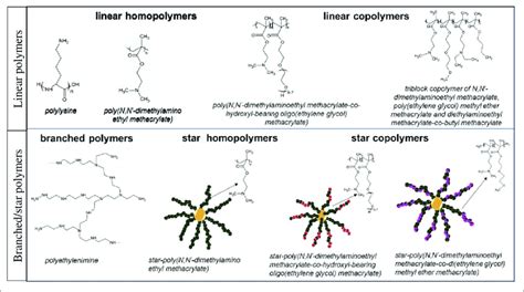 Examples Of Cationic Polymers Used In Gene Delivery Systems Download Scientific Diagram