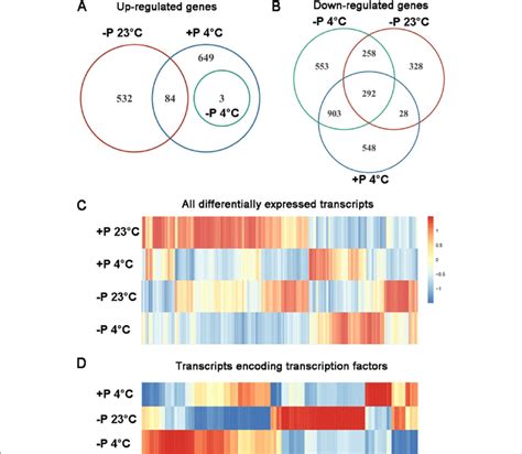 Differentially Expressed Transcripts In The Roots Of 7 Day Old Download Scientific Diagram