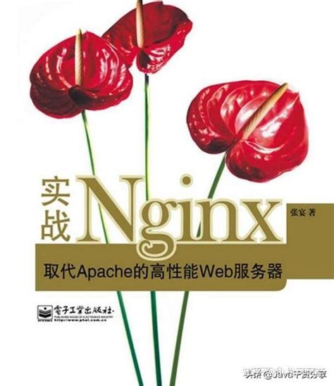 「nginx实战」中学到的东西用在面试上，面试官都被怼得哑口无言 知乎