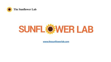 The Sunflower Lab Power Bipdf