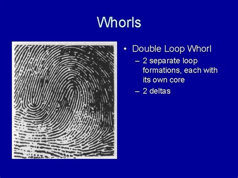 Classification Of Fingerprints Fingerprint Types Types Of