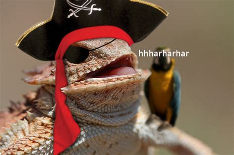 [image 804876] Laughing Lizard Hhhehehe Know Your Meme