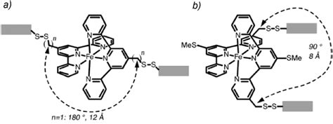 Schematic Representation Of The Feii Complexes Used As Dimerization