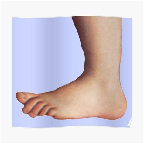 Monty Python Posters Redbubble