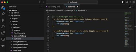 How To Remove The Mobile Menu Outline In The Astra Theme