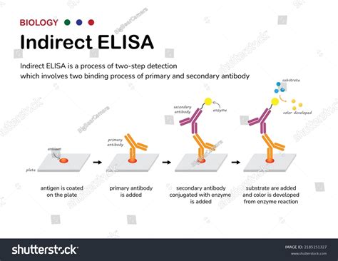 Indirect Elisa Test Devkit Elisa Development Kit Guide Lsbio
