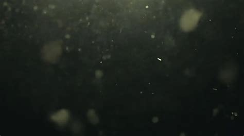 Soft Floating Particle Overlay For Luxury Ads Videos