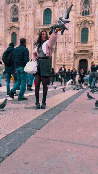 මම ආසම දෙයක් තමයි සතුන්ට ආදරය කරන එක 🥺 Beautiful Love Srilanka Hasiandawantha Youtube