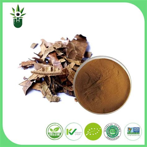 China Loquat Leaf Extract Supplier Manufacturer Factory Direct Price