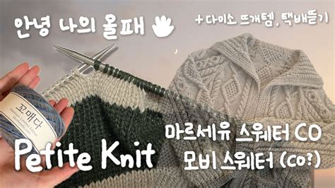 2 뜨개로그 마르세유 스웨터 1 Coㅣ눈물의 올드패션드가디건ㅣ다이소 뜨개템 만들기ㅣ원형뜨기 배색 단차 팁ㅣ꼬매다 뜨개실