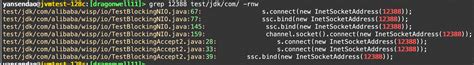 [bug]testblockingaccept2端口号冲突 · issue 310 · dragonwell project