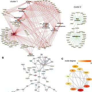 Top Hub Genes Of Proteomics Revealed By Network Analysis A The Download Scientific Diagram