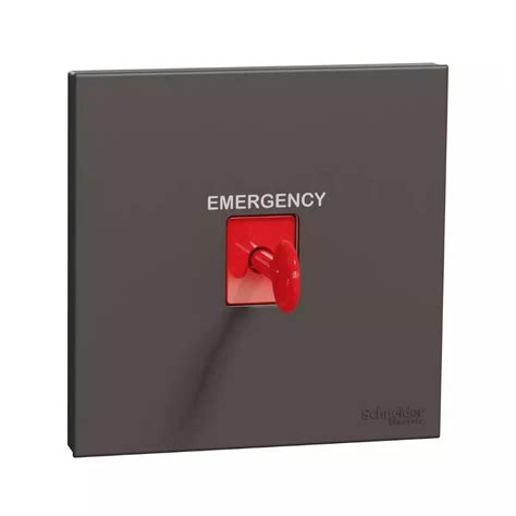 Panic Button With Key Reset Avataron C Dark Grey Schneider Electric