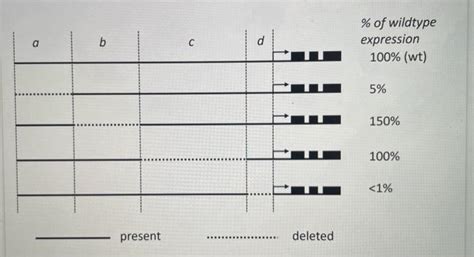 Solved In Order To Identify Cis Regulatory Elements For The Chegg Com