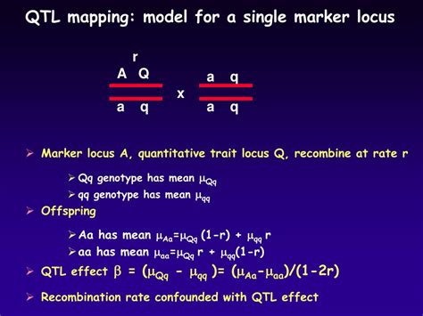Ppt Reverse Genetics Quantitative Trait Locus Qtl Mapping