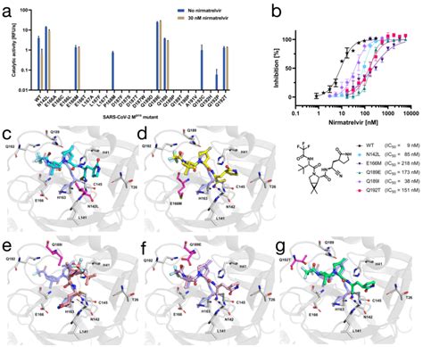 A Experimental Analysis Of The Activity Of 25 Sars Cov 2 M Pro