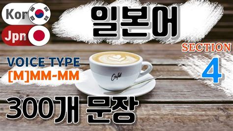 일본어 Type M M M M M Section 4 비즈니스 회화 짧고 쉬운 300문장 연속듣기 원어민 남 여 음성 듣기 Youtube