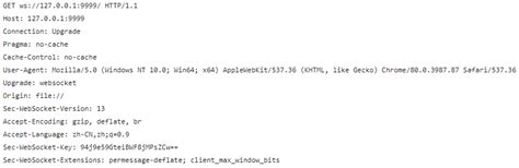 Java NIO 实现 WebSocket 协议 灰信网软件开发博客聚合