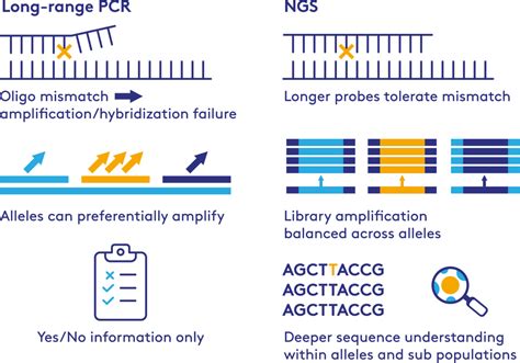hla genotyping quality control services