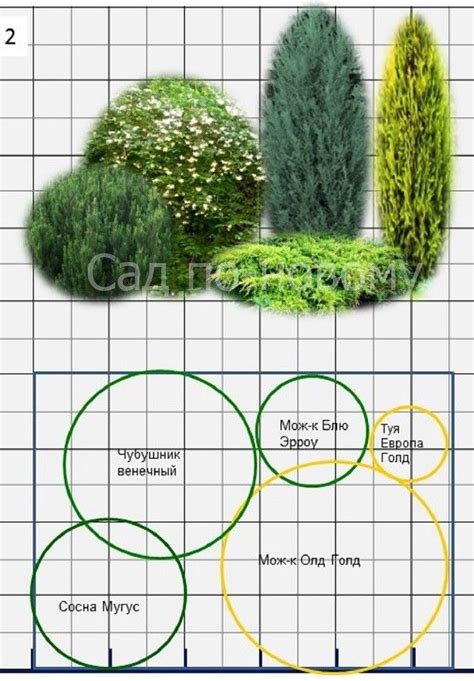 Курс для новичков Как сделать хвойные композиции Идеи озеленения Озеленение для укрытия от