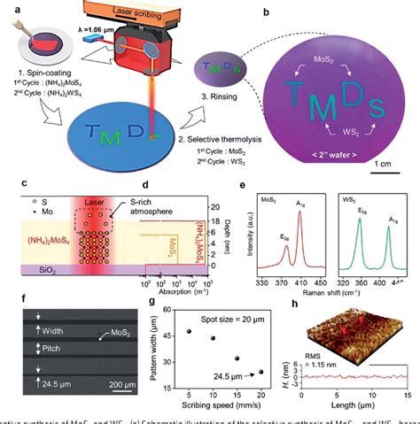 Figure 2 From A Wafer Scale Synthesis Of Monolayer Mos2 And Their Field