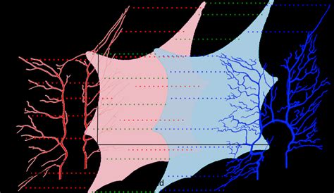 Quasi 3d Numerical Model For A 2d Spatial Problem The Xy Vertical Download Scientific
