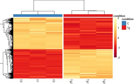 拿到基因表达矩阵之后的那点事 三 阿里云开发者社区