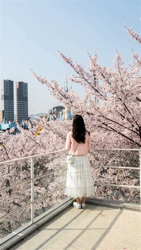 아바타 같은 신비로운 분위기의 부천 식물원 ⠀ 야간 개장 시작한 ‘부천호수식물원 수피아는 열대 및 아열대 식물을 만날 수 있는 도심 속 힐링 공간이다 ⠀ 타원형 구조의