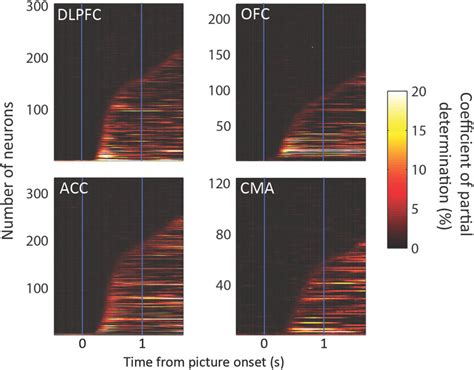 Encoding Of Decision Type Across The Population Each Horizontal Line