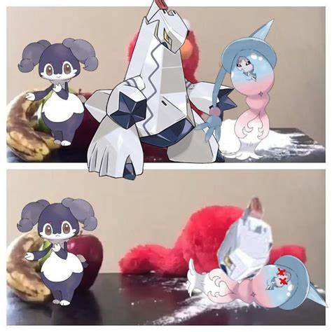 Duraludon knows what it wants ʖ r VGC