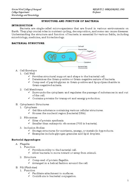 Structure AND Function OF Bacteria College Department Professor Microbiology And Parasitology